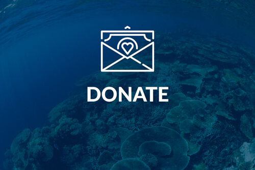 Support Us | Help protect manta and devil rays — Manta Trust