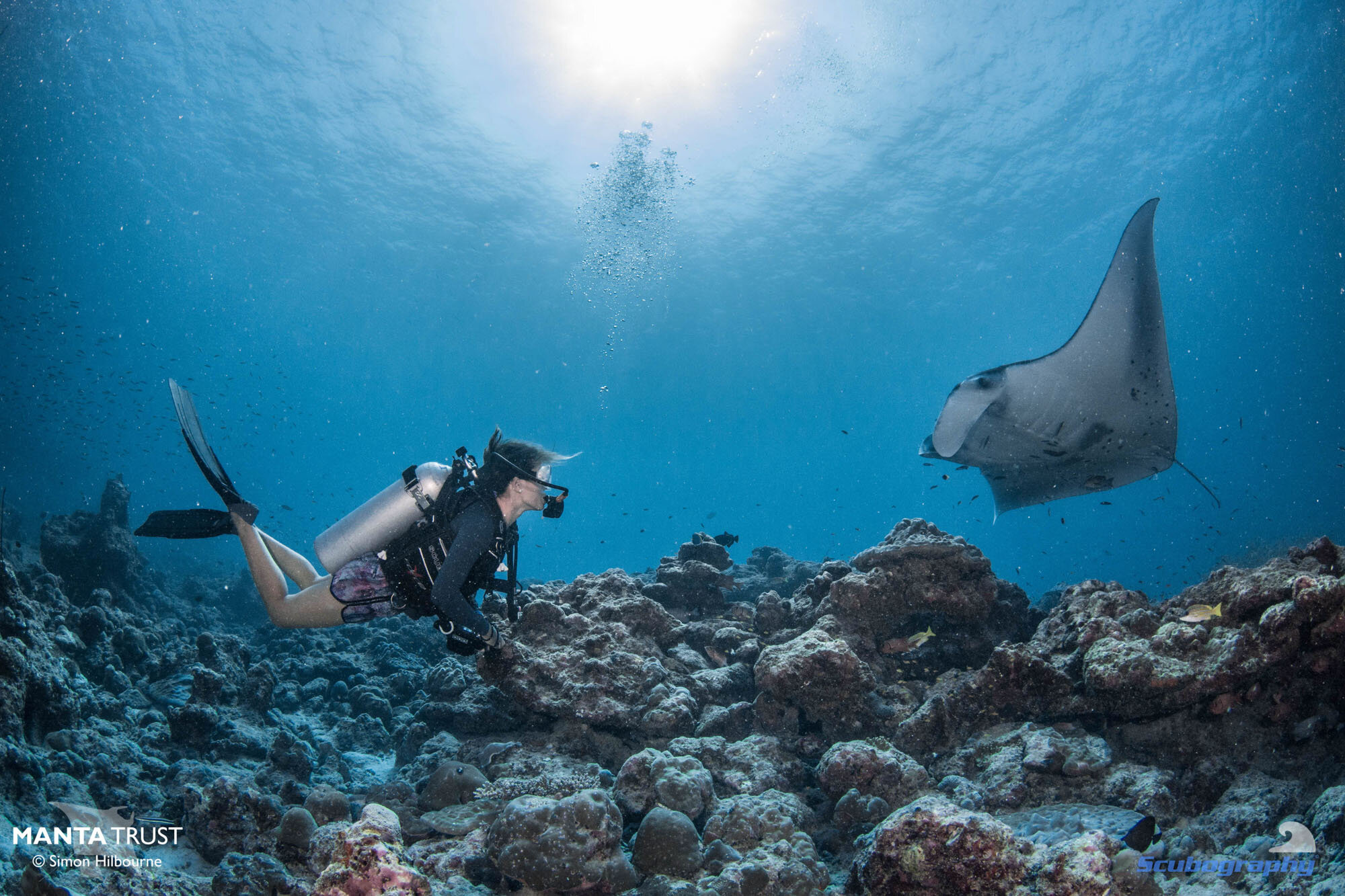 Unlocking the Secrets of Raa Atoll — Manta Trust