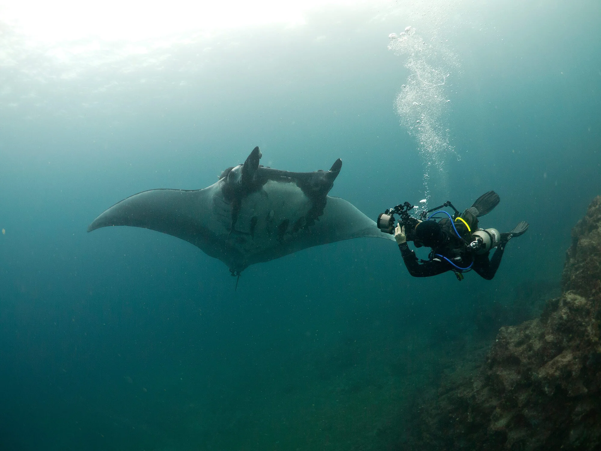 Meet the Team - Luke Gordon — Manta Trust