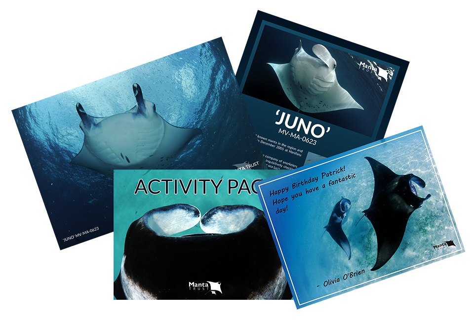 Manta Trust