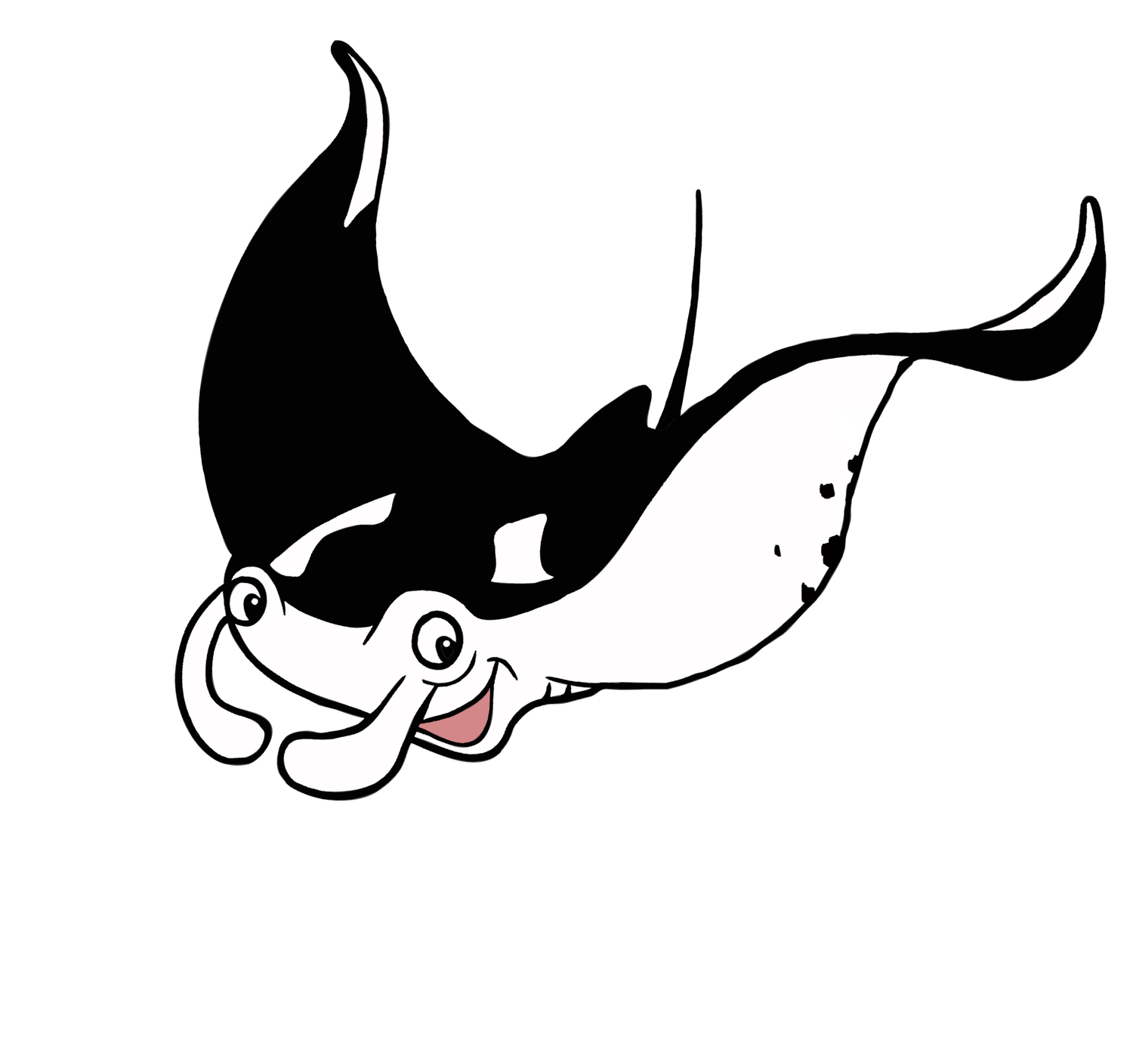 MANTA & DEVIL RAYS --- — Manta Trust