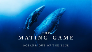 Mating Games — Manta Trust