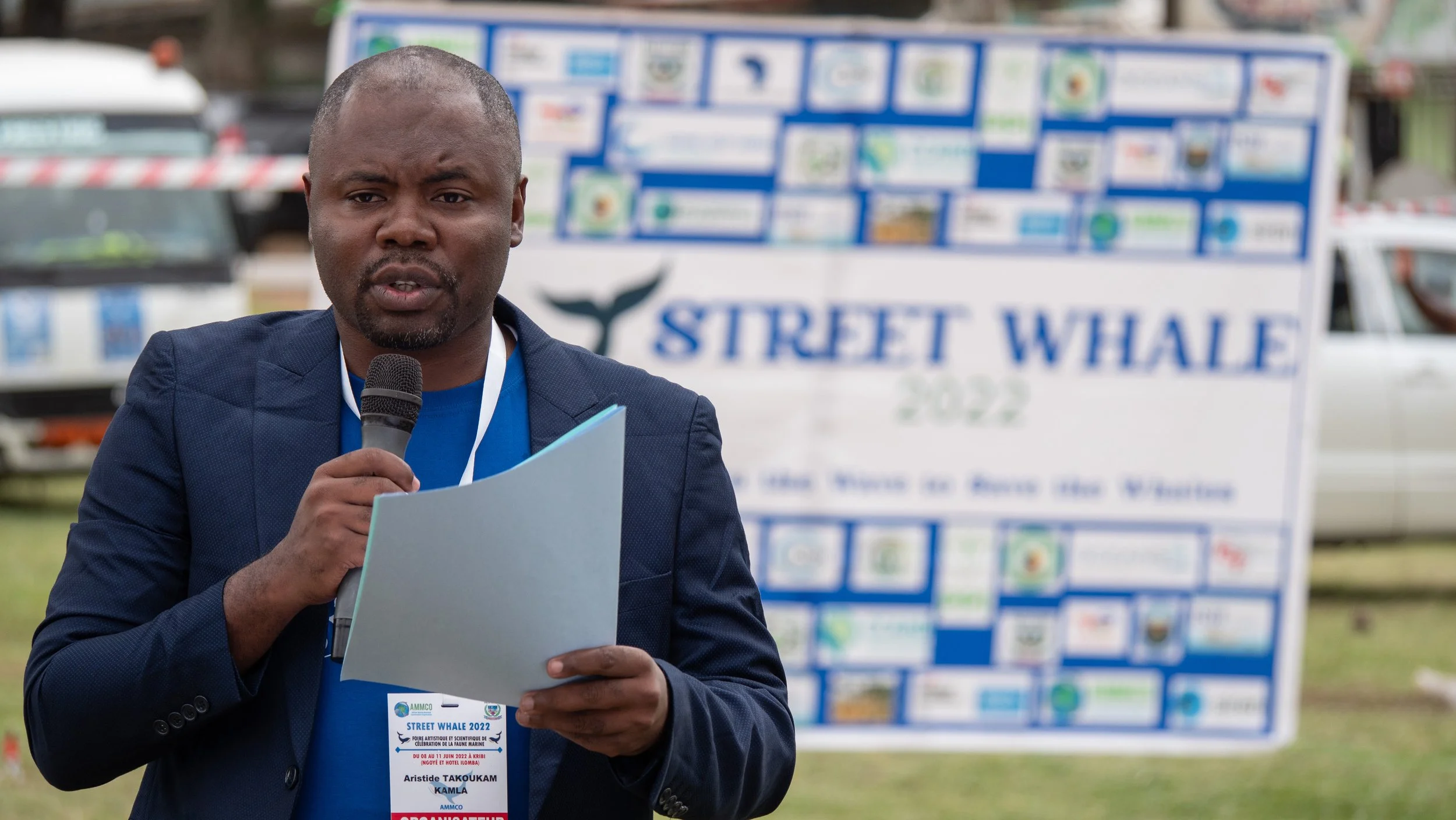 African Marine Mammal Conservation Organization | Affiliate Project ...