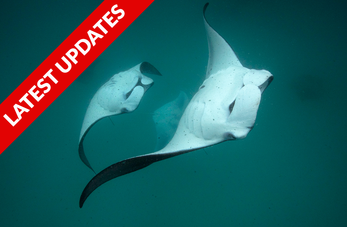 The Cyclone - Exclusive Content — Manta Trust