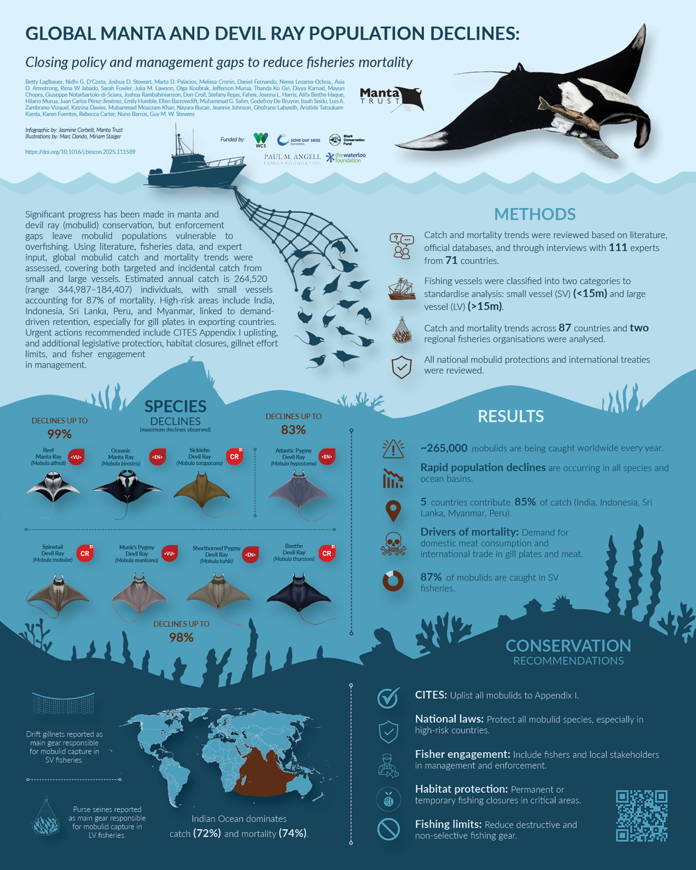 Global Manta and Devil Ray Population Declines — Manta Trust