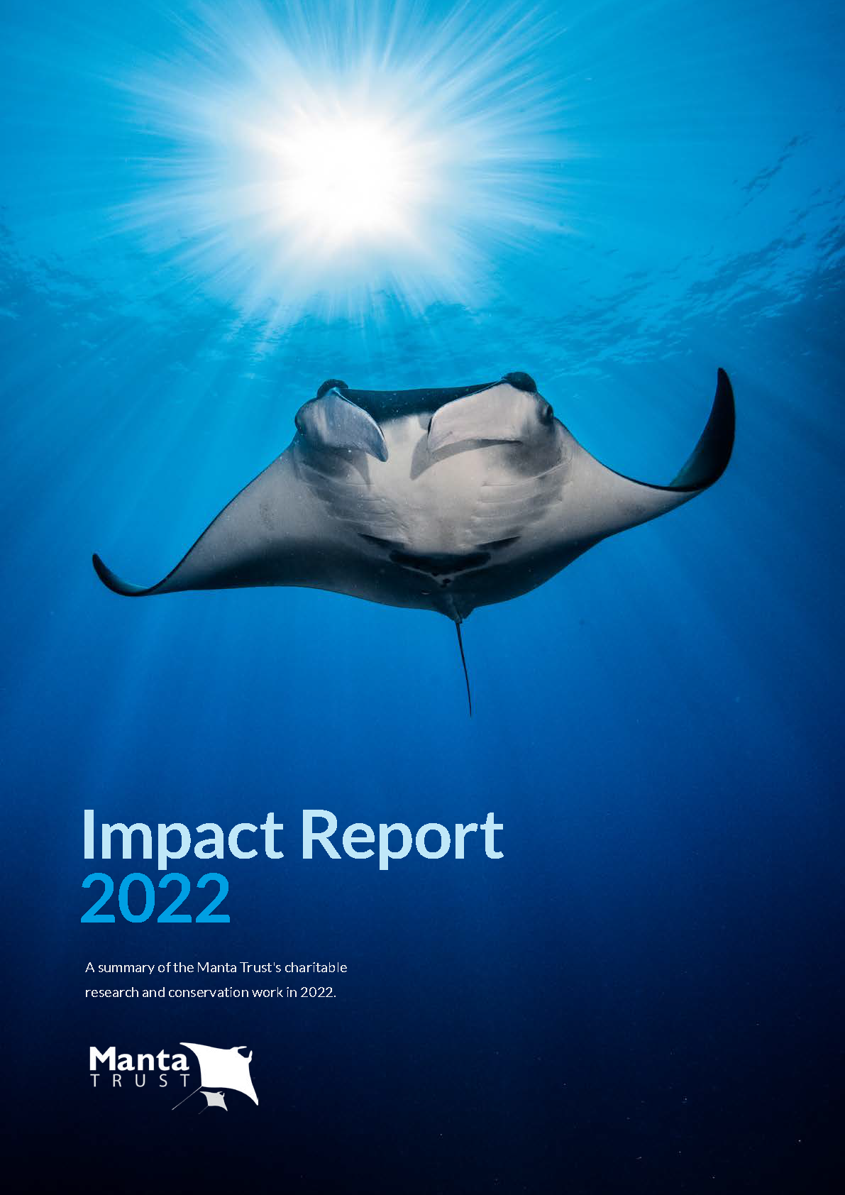 Our Impact | Achievements in Manta Ray Research, Education and ...