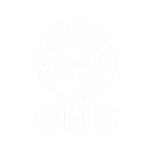 Protections & Management — Manta Trust