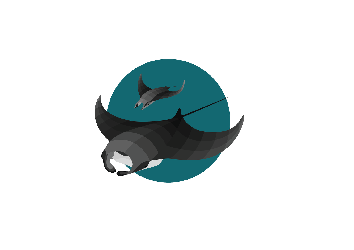 India I Affiliate Project — Manta Trust