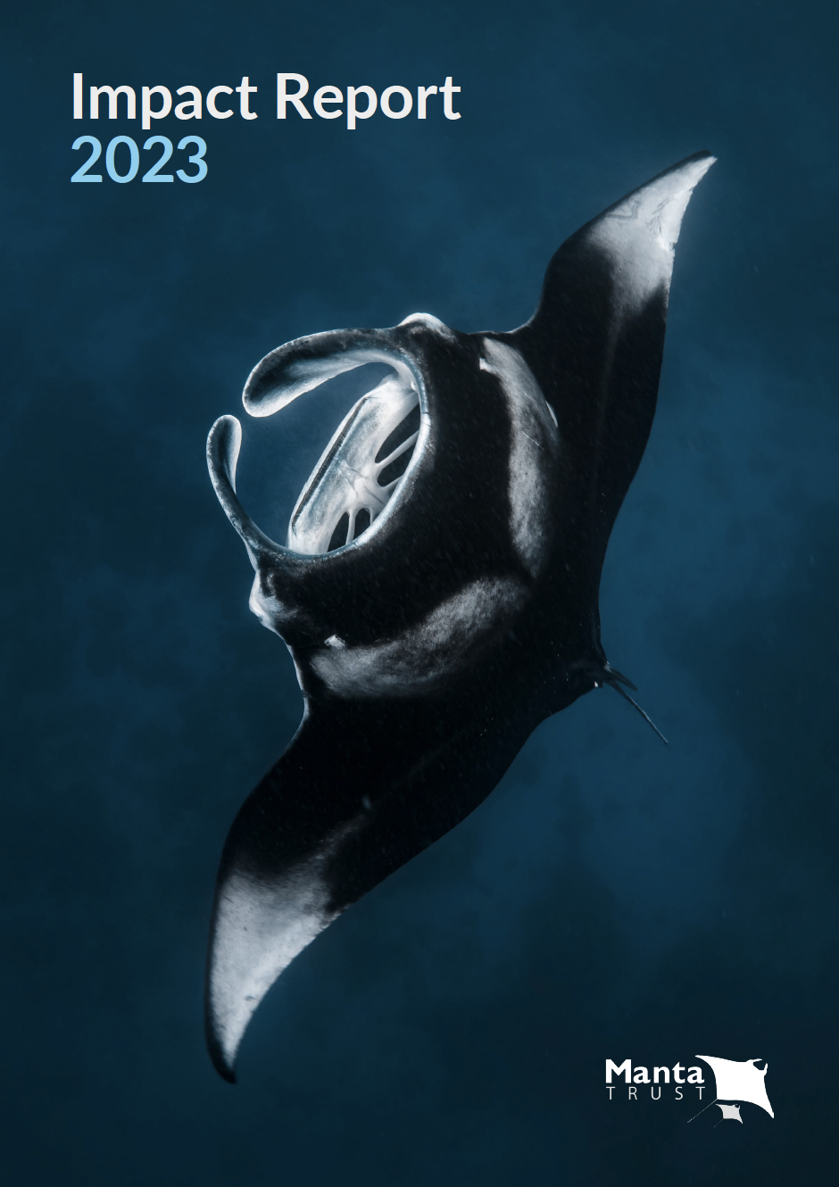 Our Impact | Achievements in Manta Ray Research, Education and ...