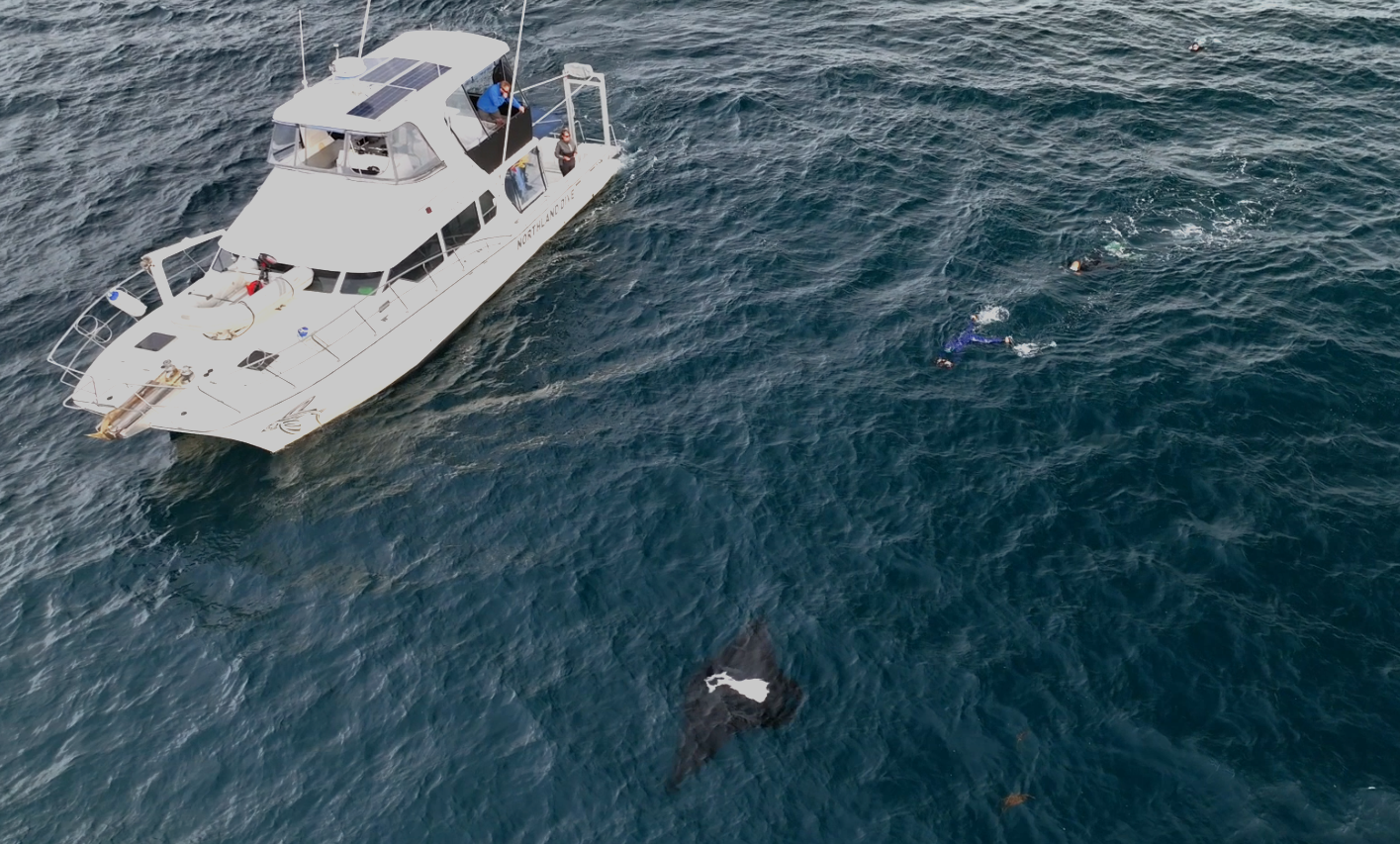 Manta Ray Expeditions - A New Zealand First! — Manta Trust