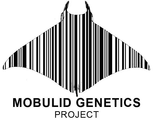 Genetics | Mobulid Genetics Projects — Manta Trust