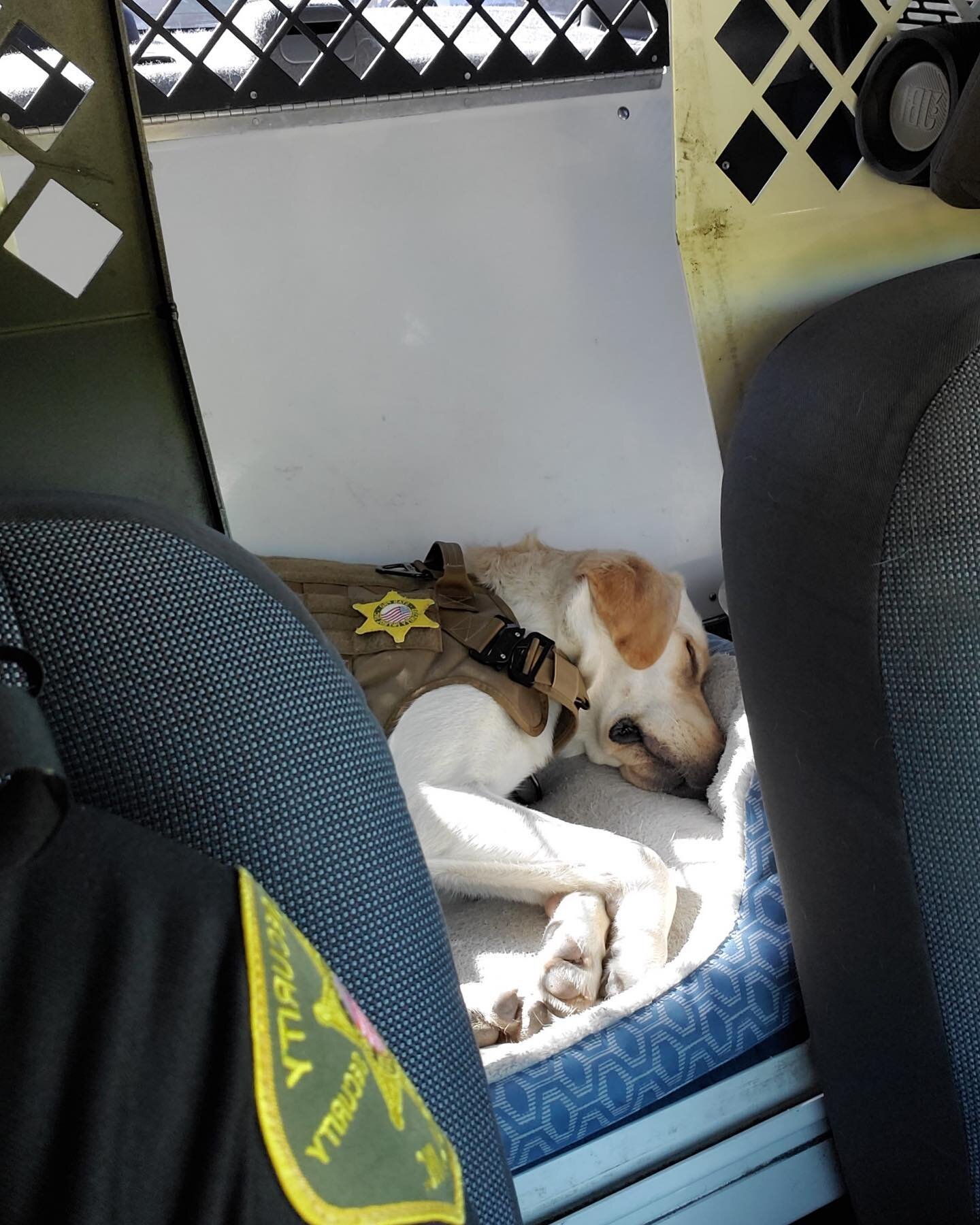 Private Security | Star Pro Security Patrol