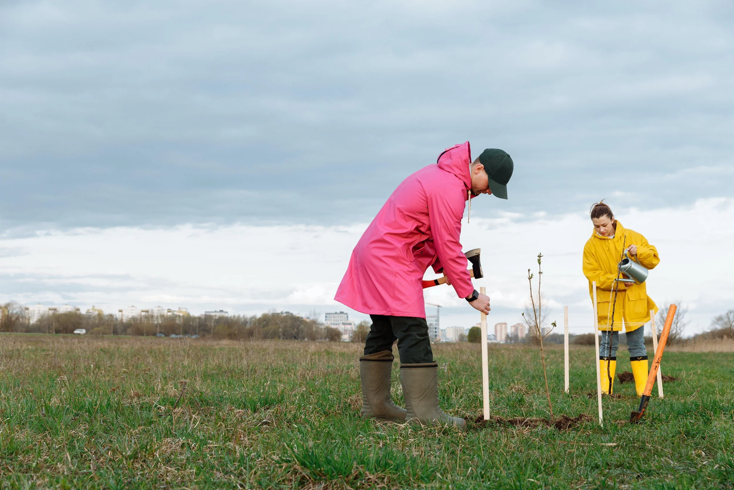 Print On Wood x Ecologi - Tree Planting | Print On Wood Australia