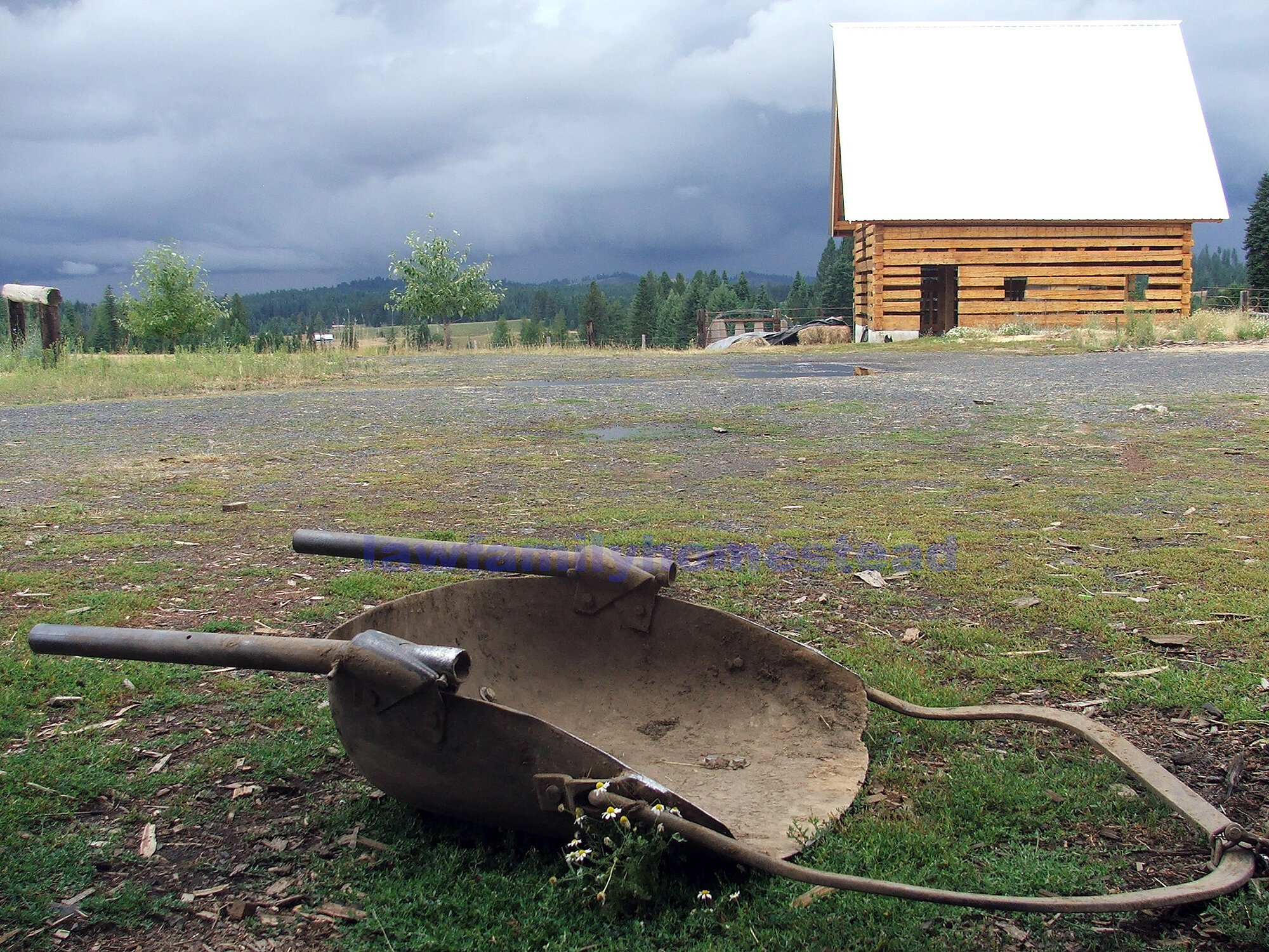 The Buck Scraper and the Oxen — Law Family Homestead