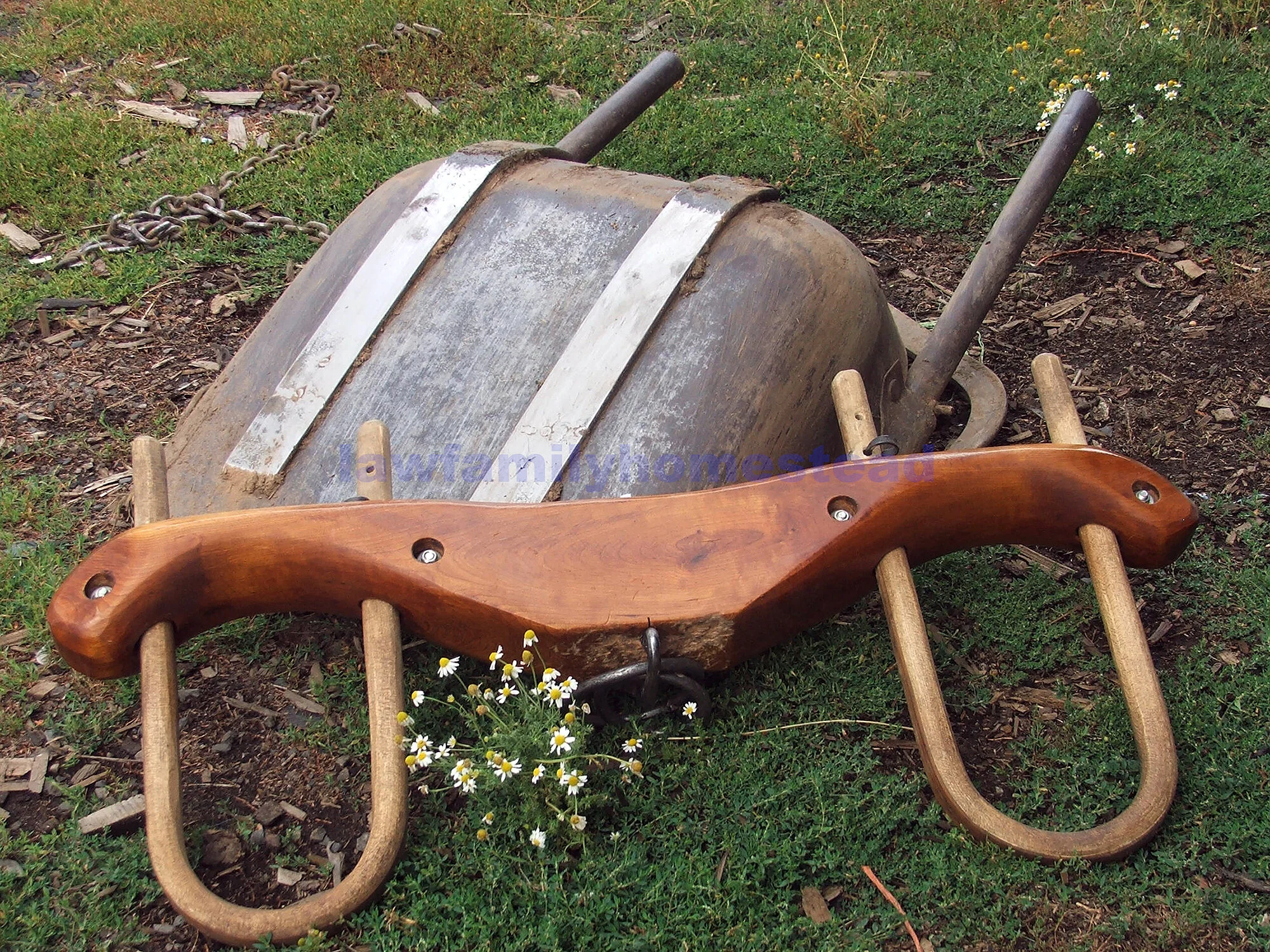 The Buck Scraper and the Oxen — Law Family Homestead