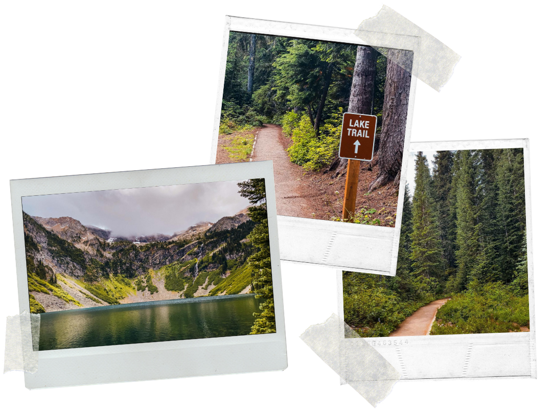 ADA-accessible Elopement Locations in Washington State - Between the Pine