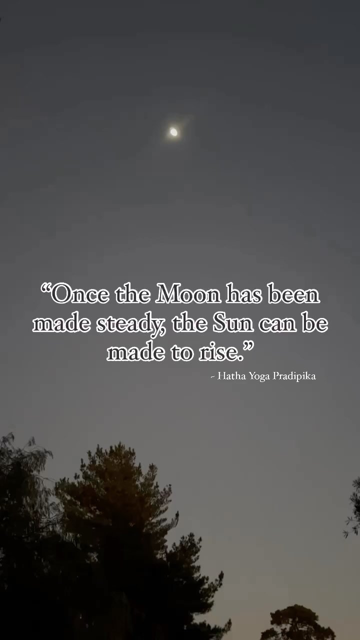 Luna Therapy - OT, Psychology, Yin Yoga & Wellbeing