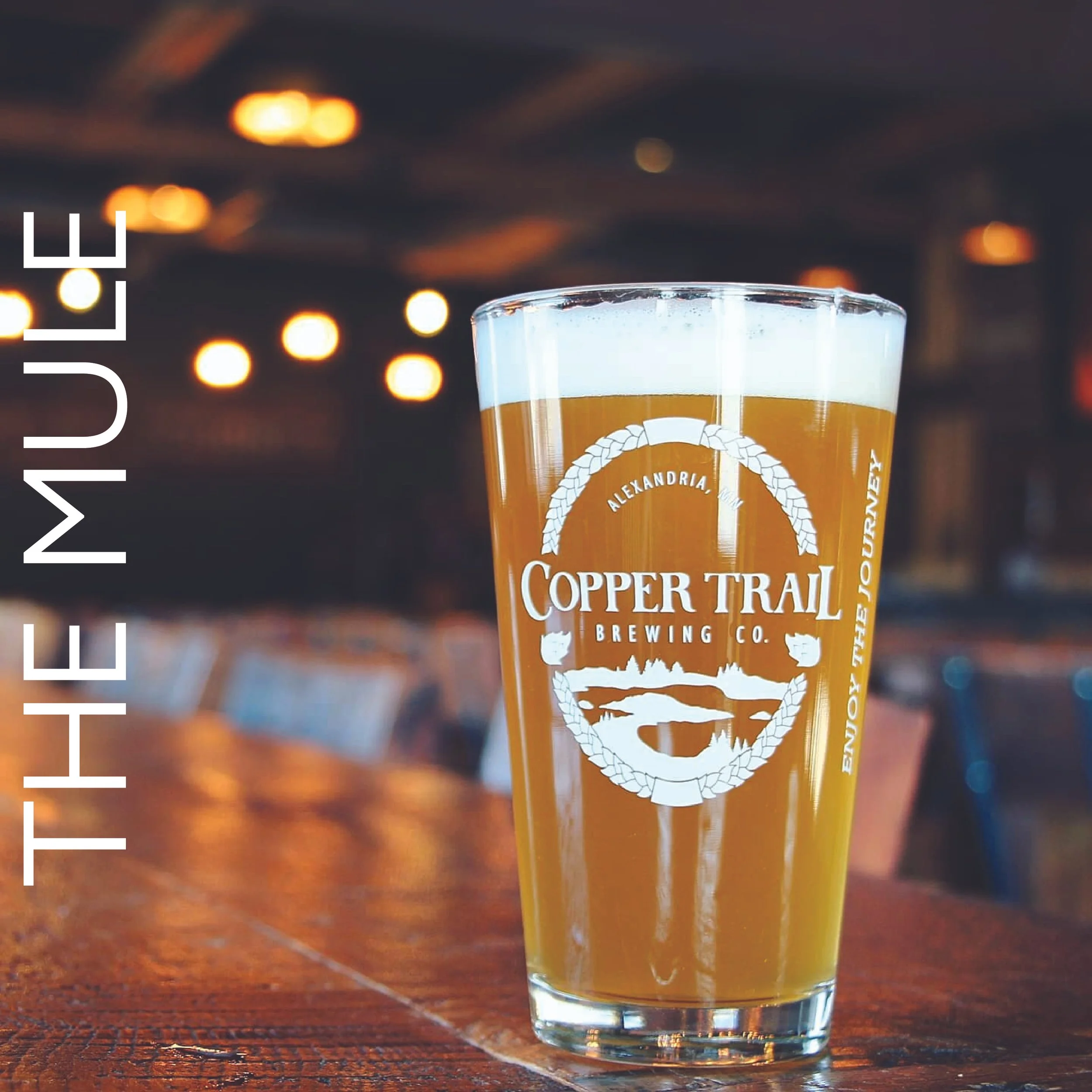 Beer Menu — Copper Trail Brewing Co.