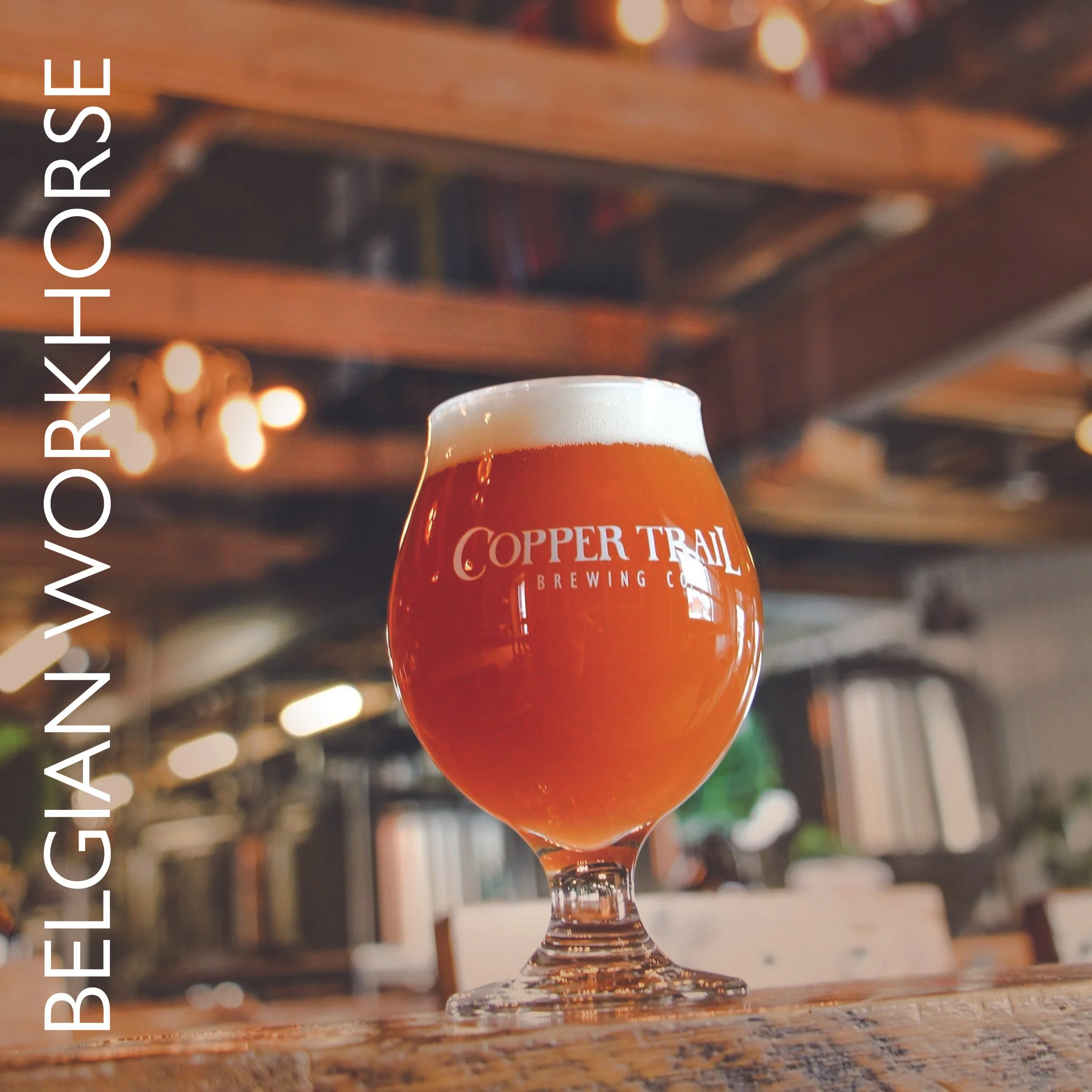 Beer Menu — Copper Trail Brewing Co.