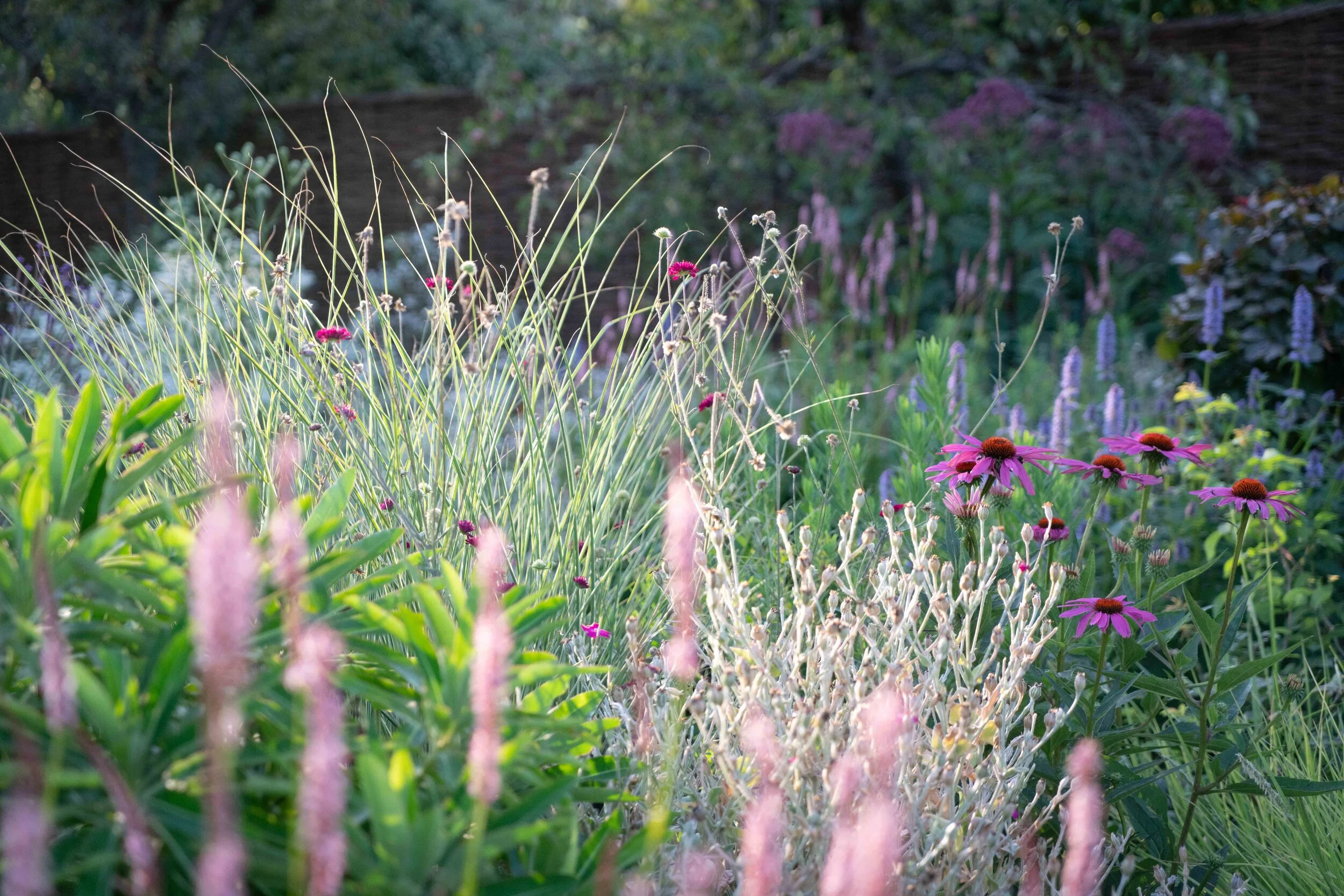 Farlam&Chandler_Downs+Hill_Perennial+Meadow.jpg (2500×1668)-花瓣网