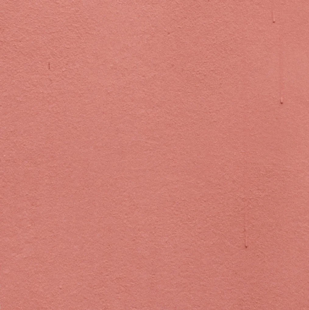 Contact — Celeste Mitchell