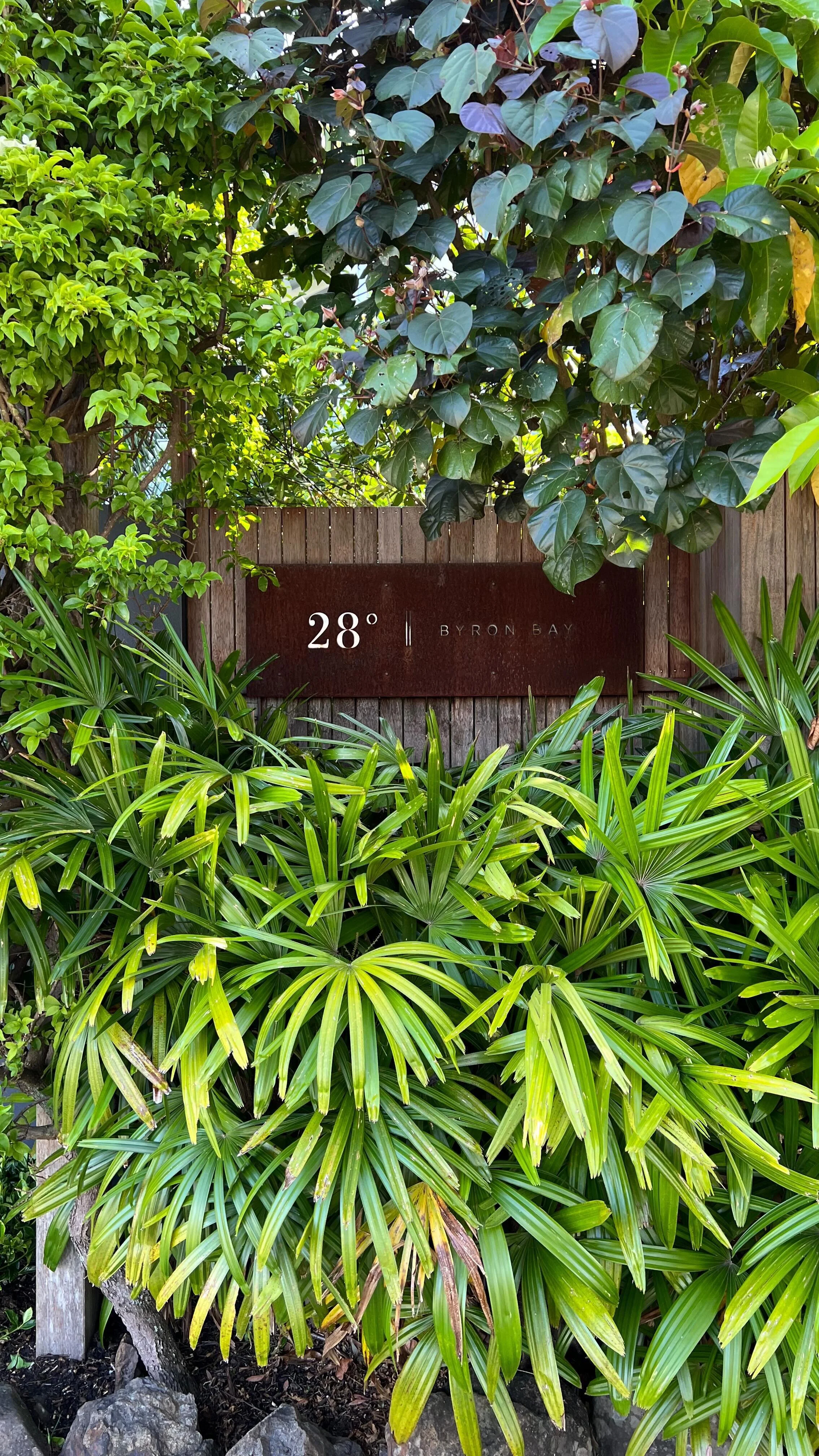 Celeste Mitchell | Travel Journalist + Professional Dreamer