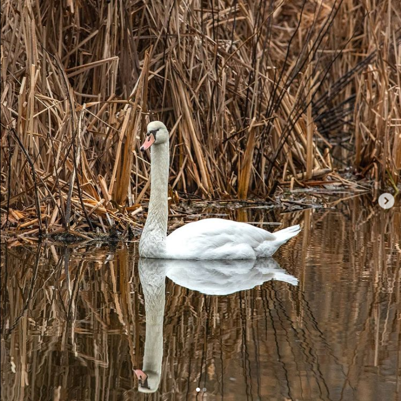 Recreation — Friends of FDR Park