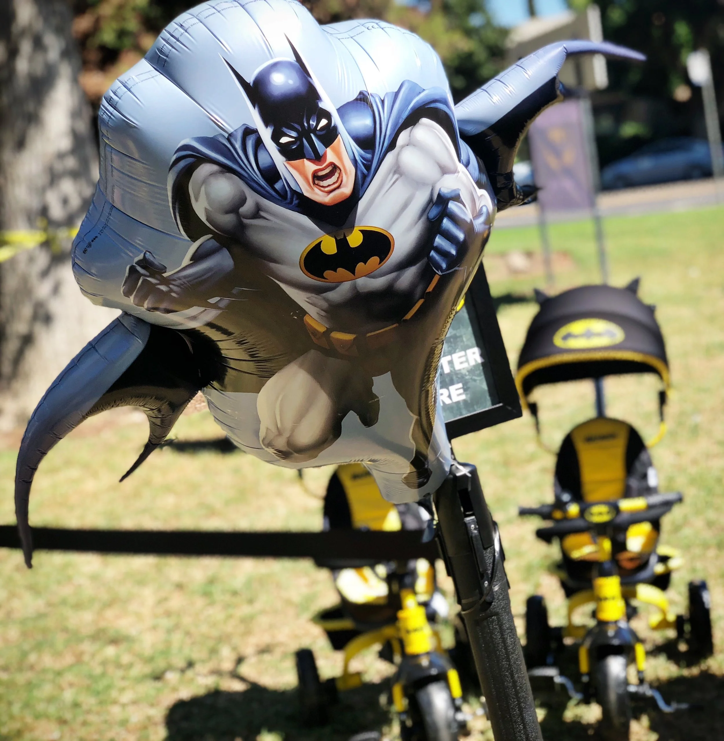 Celebrating Batman Day for a Good Cause — Mommy In Los Angeles®