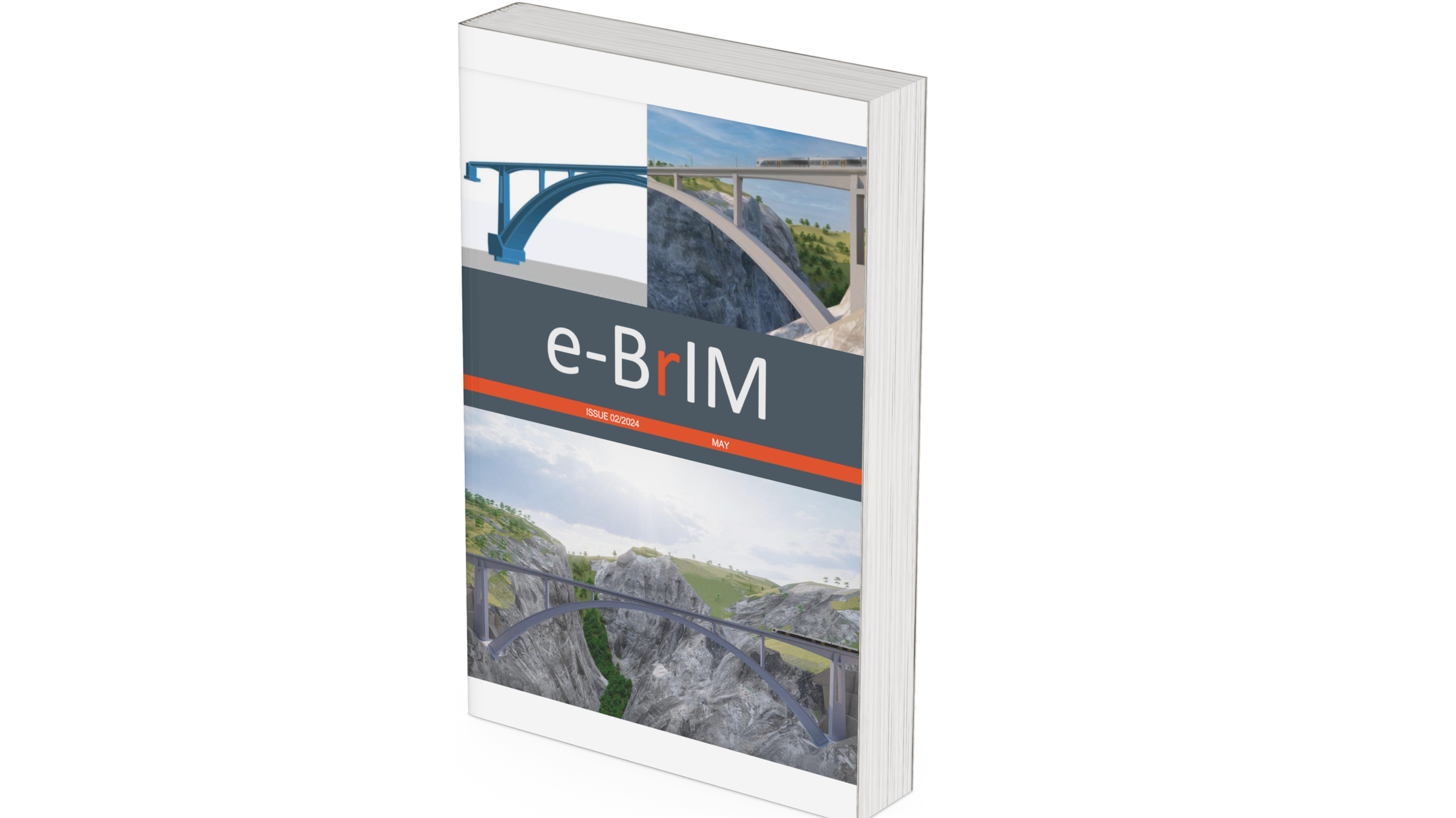 Publications — Engineers in Action Bridge Program