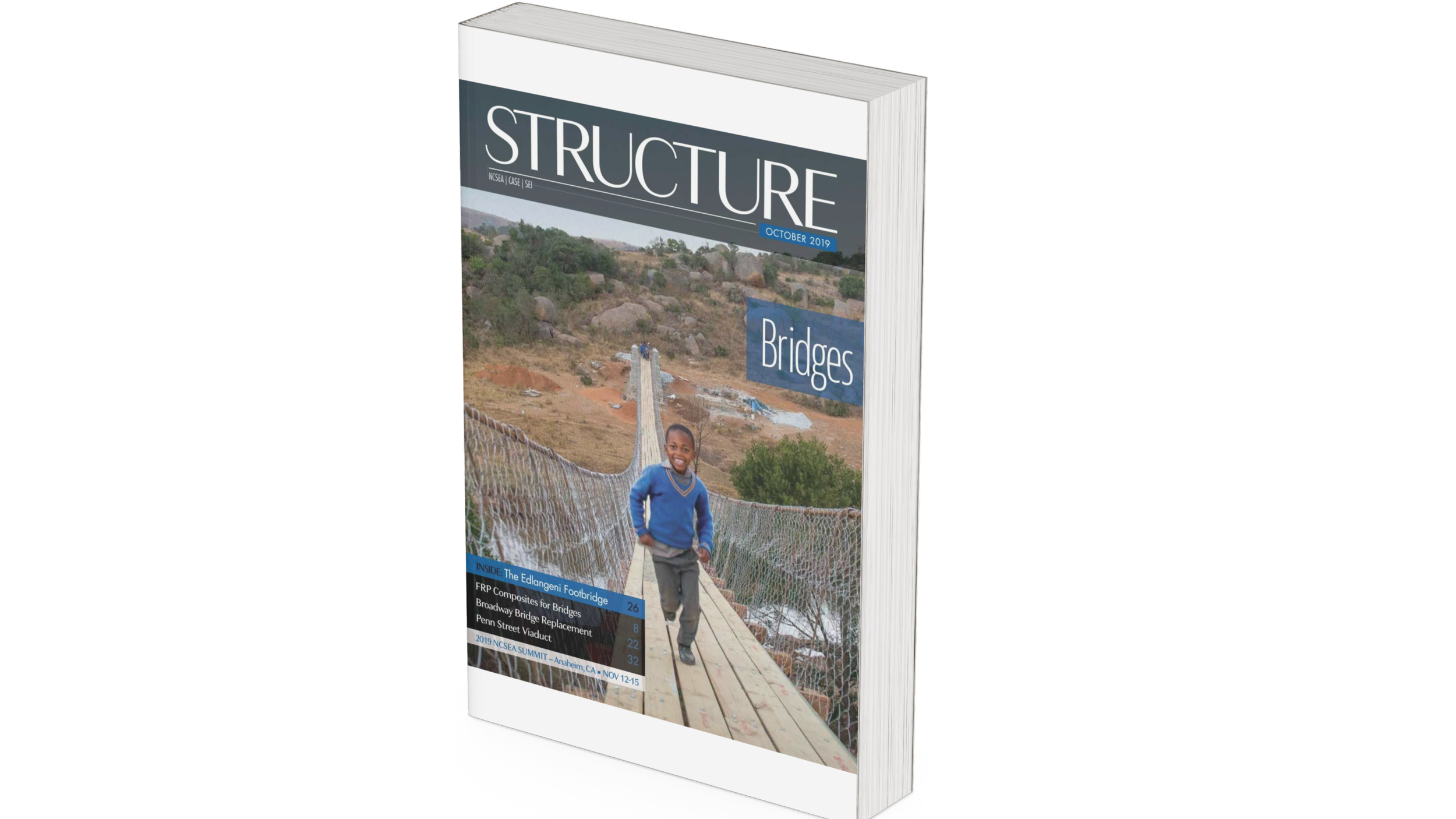 Publications — Engineers in Action Bridge Program