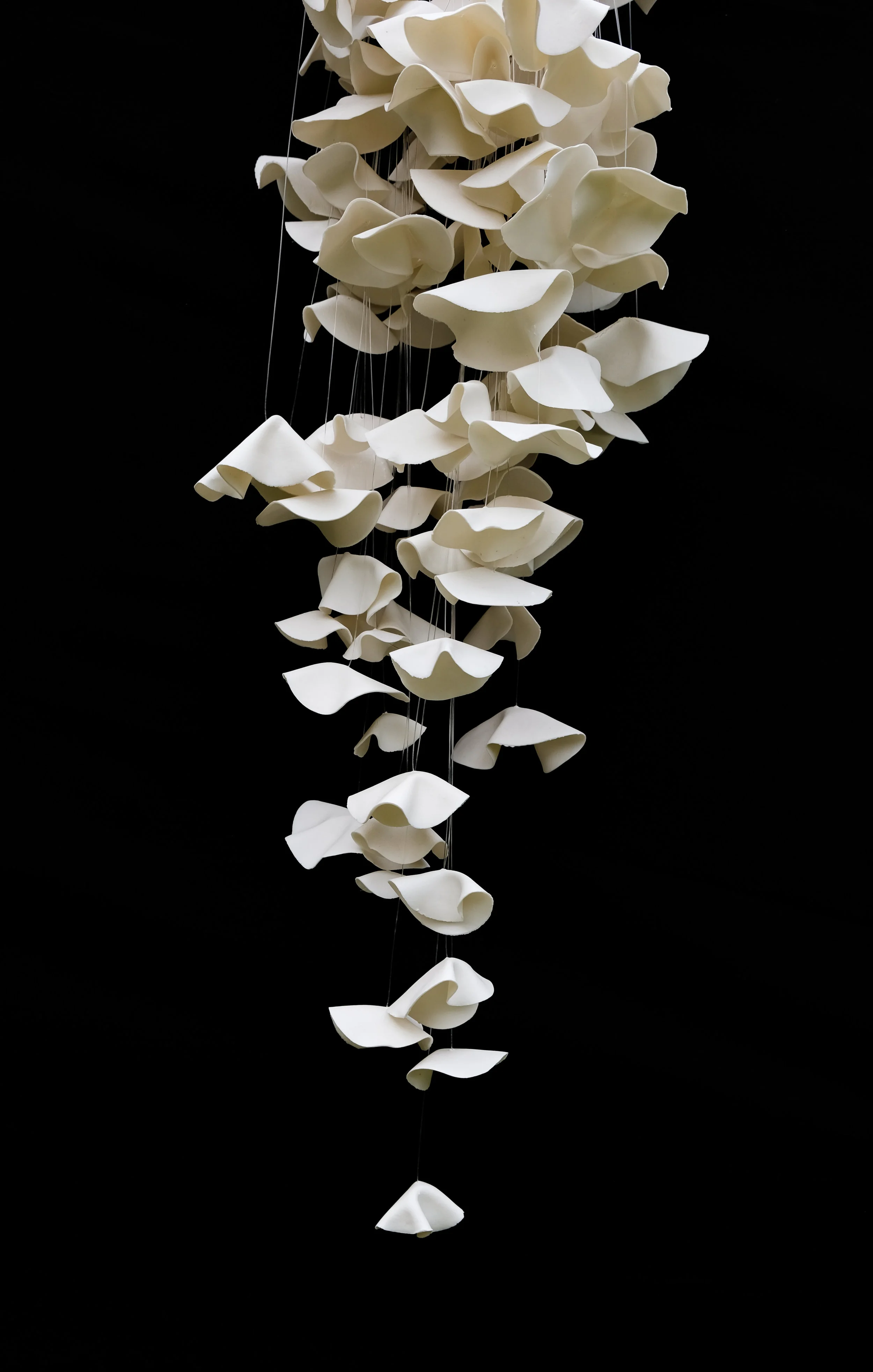 Gallery Home Page — Jennifer Conroy Smith