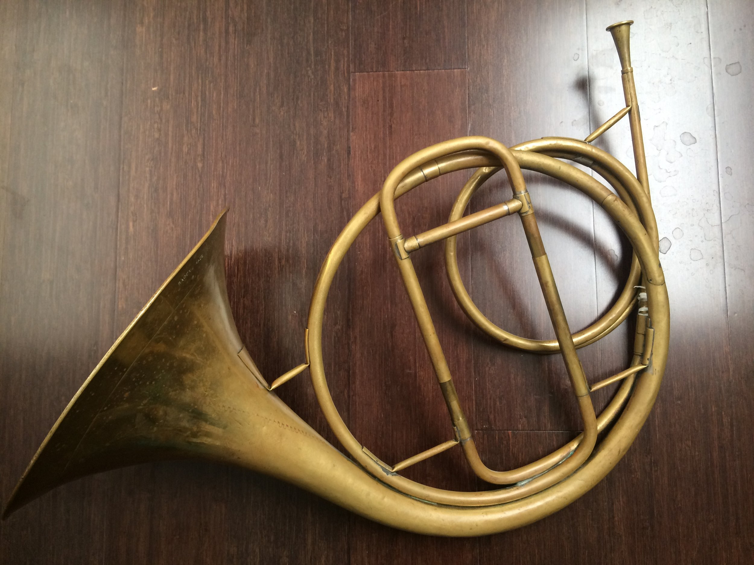 A short history of the horn — Anneke Scott