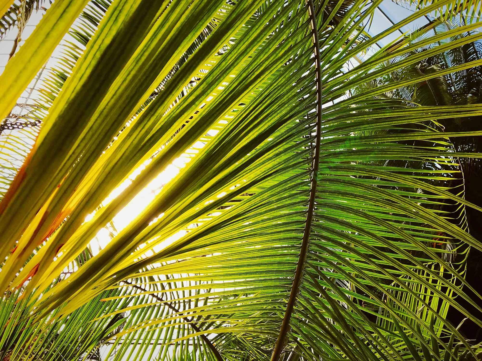 Riddikulus — Emma Baker