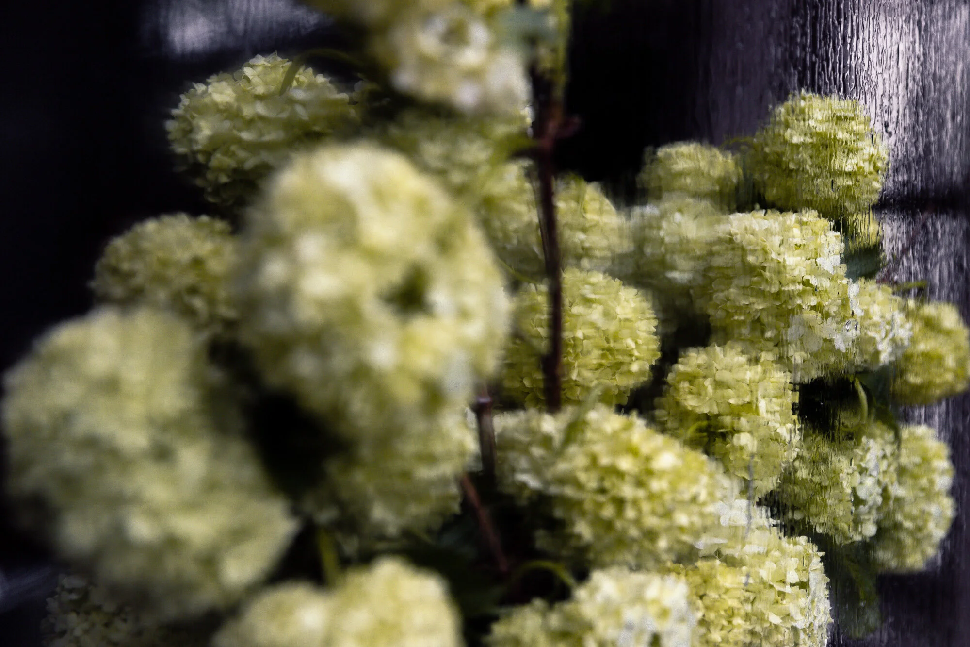 Riddikulus — Emma Baker