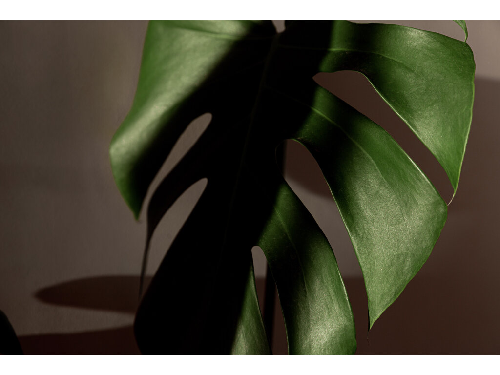 Riddikulus — Emma Baker