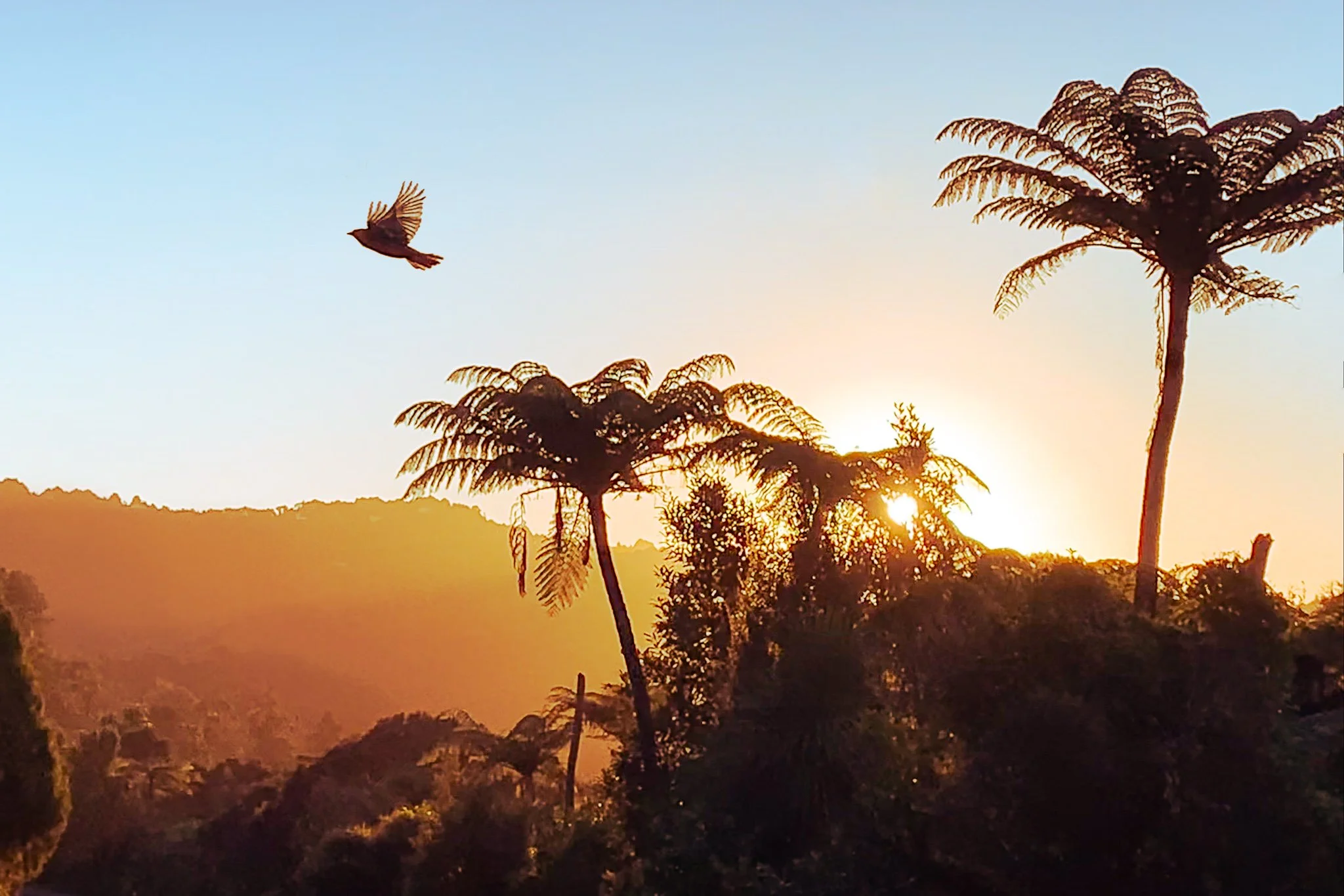 places — Emma Baker