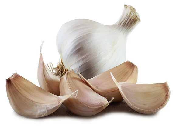 Fruit & Veg — Easter Compton Farm Shop