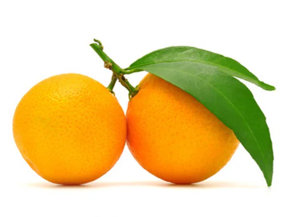 Fruit & Veg — Easter Compton Farm Shop