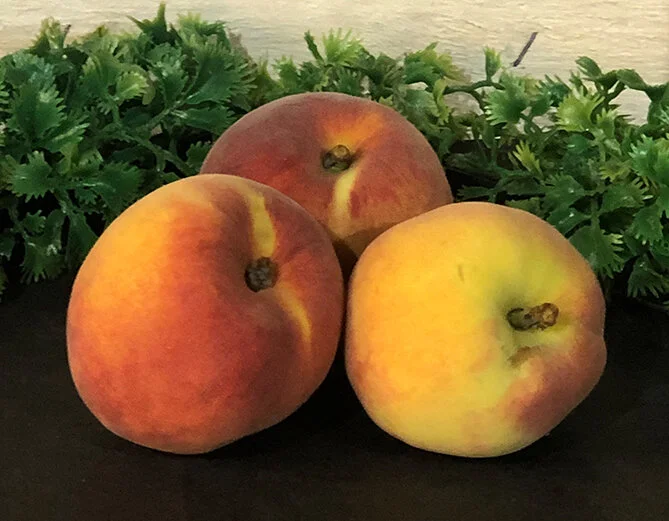 Fruit & Veg — Easter Compton Farm Shop