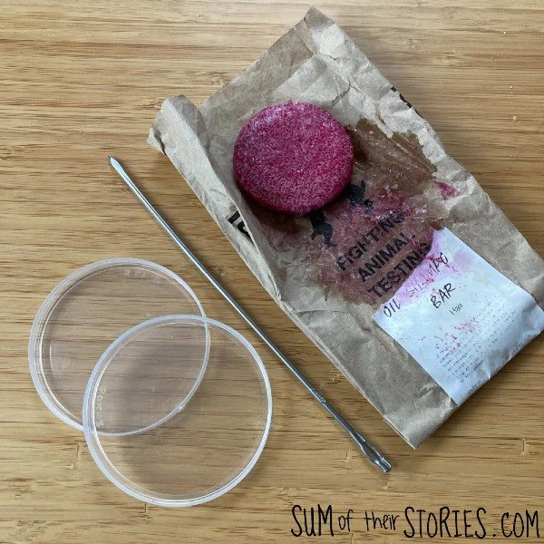 Upcycled Shampoo Bar Holder — Sum of their Stories Craft Blog