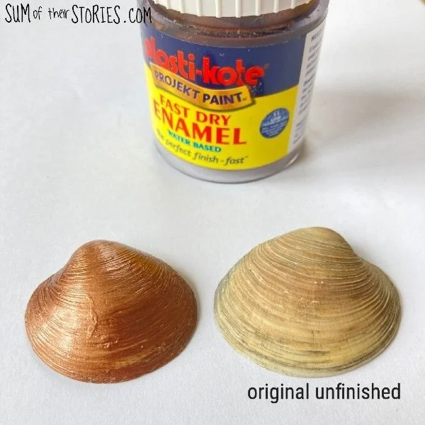 10 ways to seal shells for display around the home — Sum of their ...