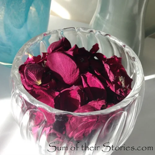 How to dry rose petals for pot pourri — Sum of their Stories Craft Blog