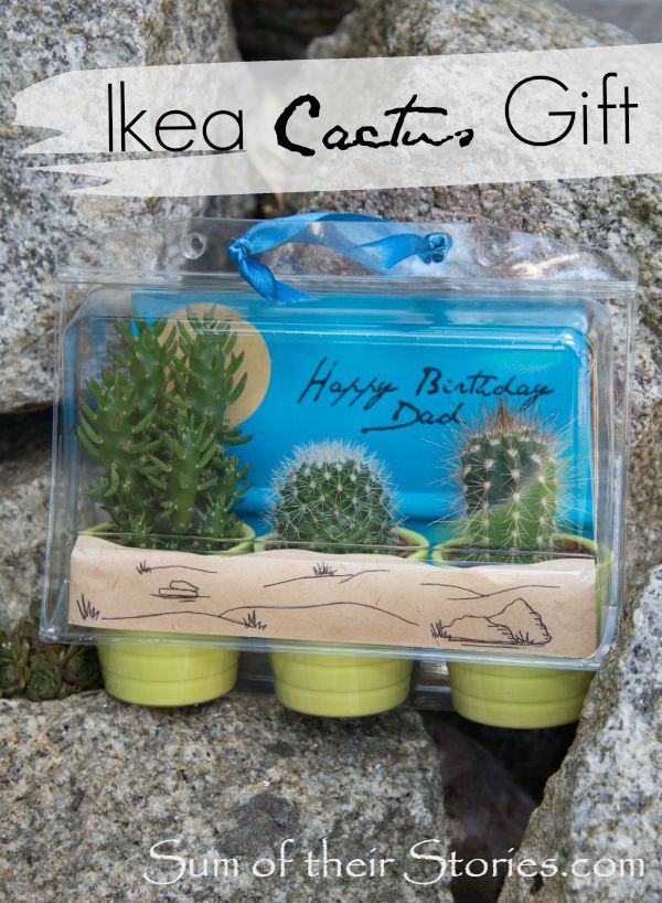 IKEA Cactus Gift Wrap — Sum of their Stories Craft Blog