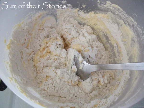 Cake Making for absolute beginners Part 1 — Sum of their Stories Craft Blog