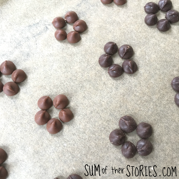 Chocolate Chip Flowers — Sum of their Stories Craft Blog