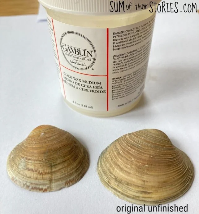 10 ways to seal shells for display around the home — Sum of their ...
