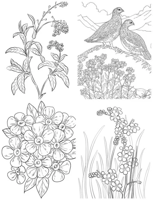 Beautiful Forget Me Not Crafts — Sum of their Stories Craft Blog