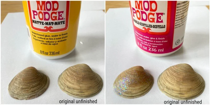 10 ways to seal shells for display around the home — Sum of their ...