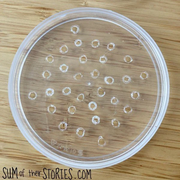 Upcycled Shampoo Bar Holder — Sum of their Stories Craft Blog