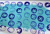 What to do with empty plastic thread spools — Sum of their Stories ...